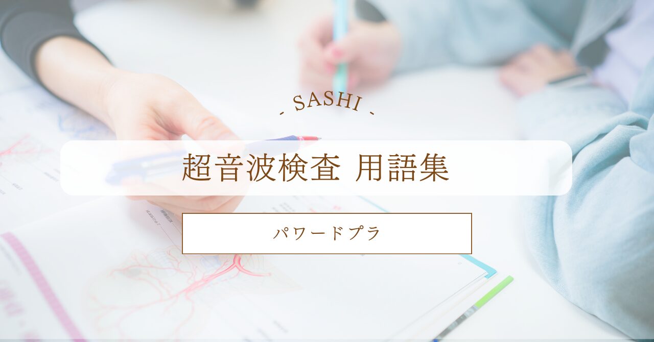 パワードプラ（Power Doppler）とは？低流速・微細血流を捉える超音波ドプラ法を解説｜SASHI
