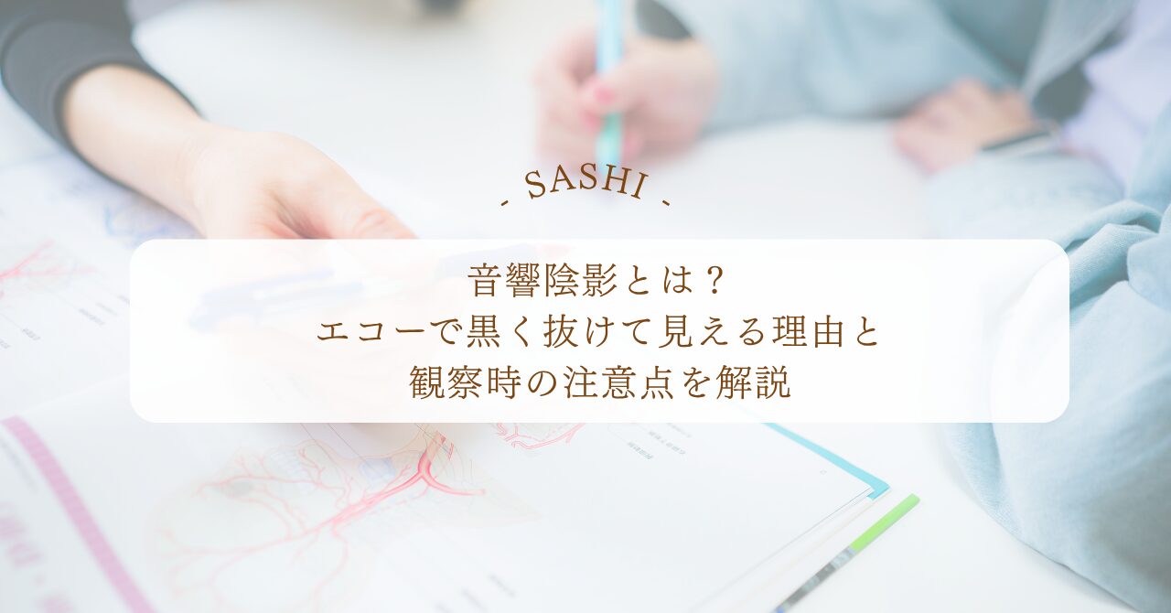 音響陰影とは？エコーで黒く抜けて見える理由と観察時の注意点を解説｜SASHI
